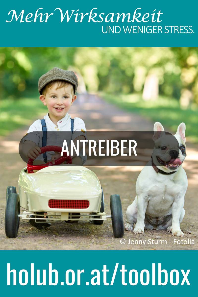 Welcher Antreiber sitzt heute auf meiner Schulter? | Mehr Wirksamkeit ...